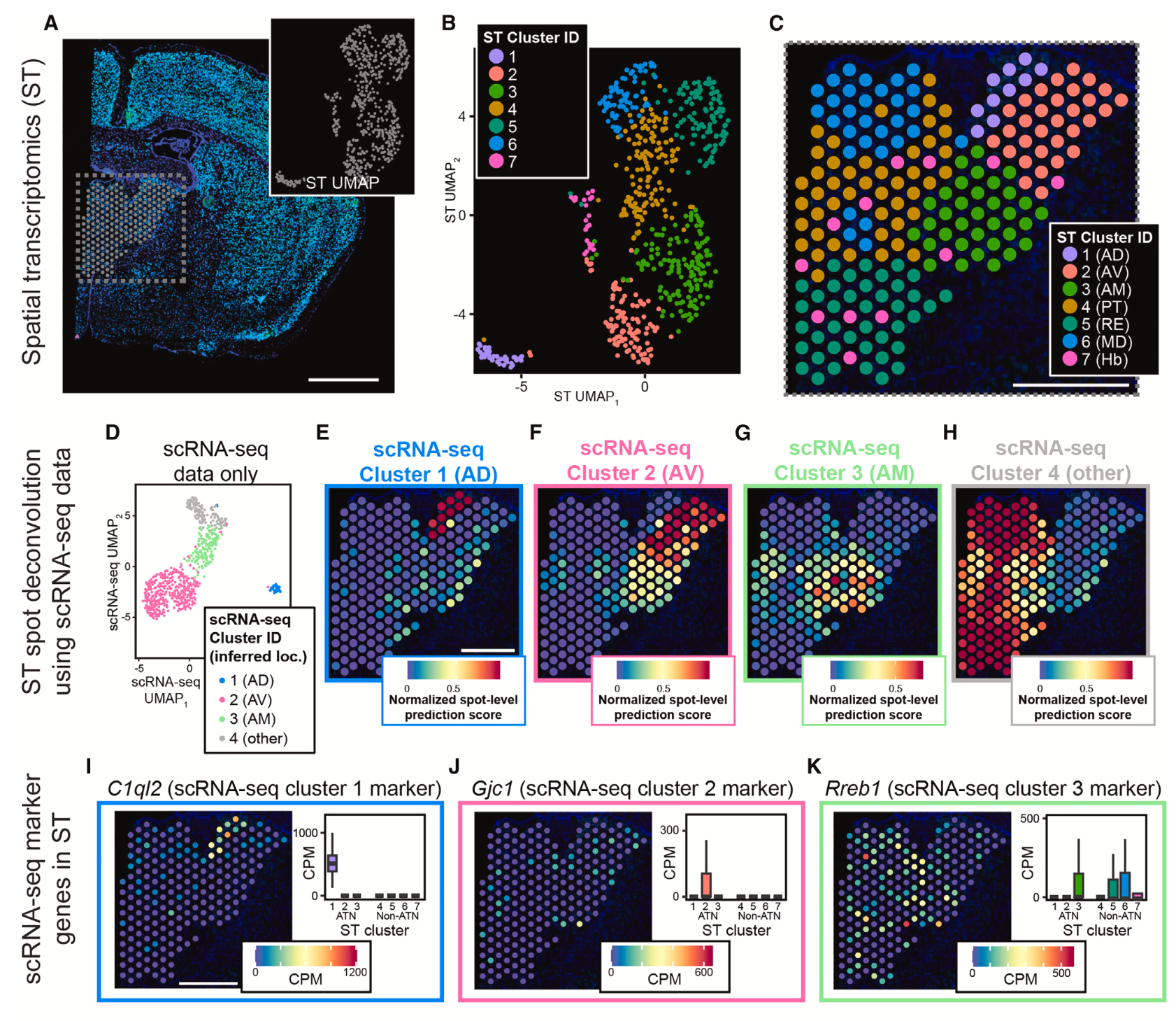 Two platforms, one powerful spatial biology toolkit: When and how researchers are using Visium ...